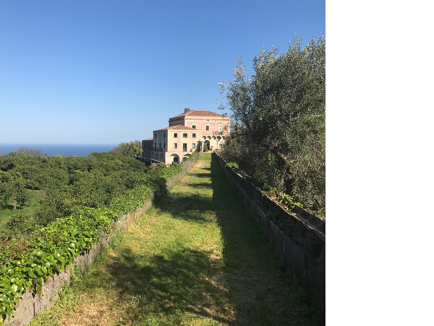 Skye Gyngell « William Smalley Architect